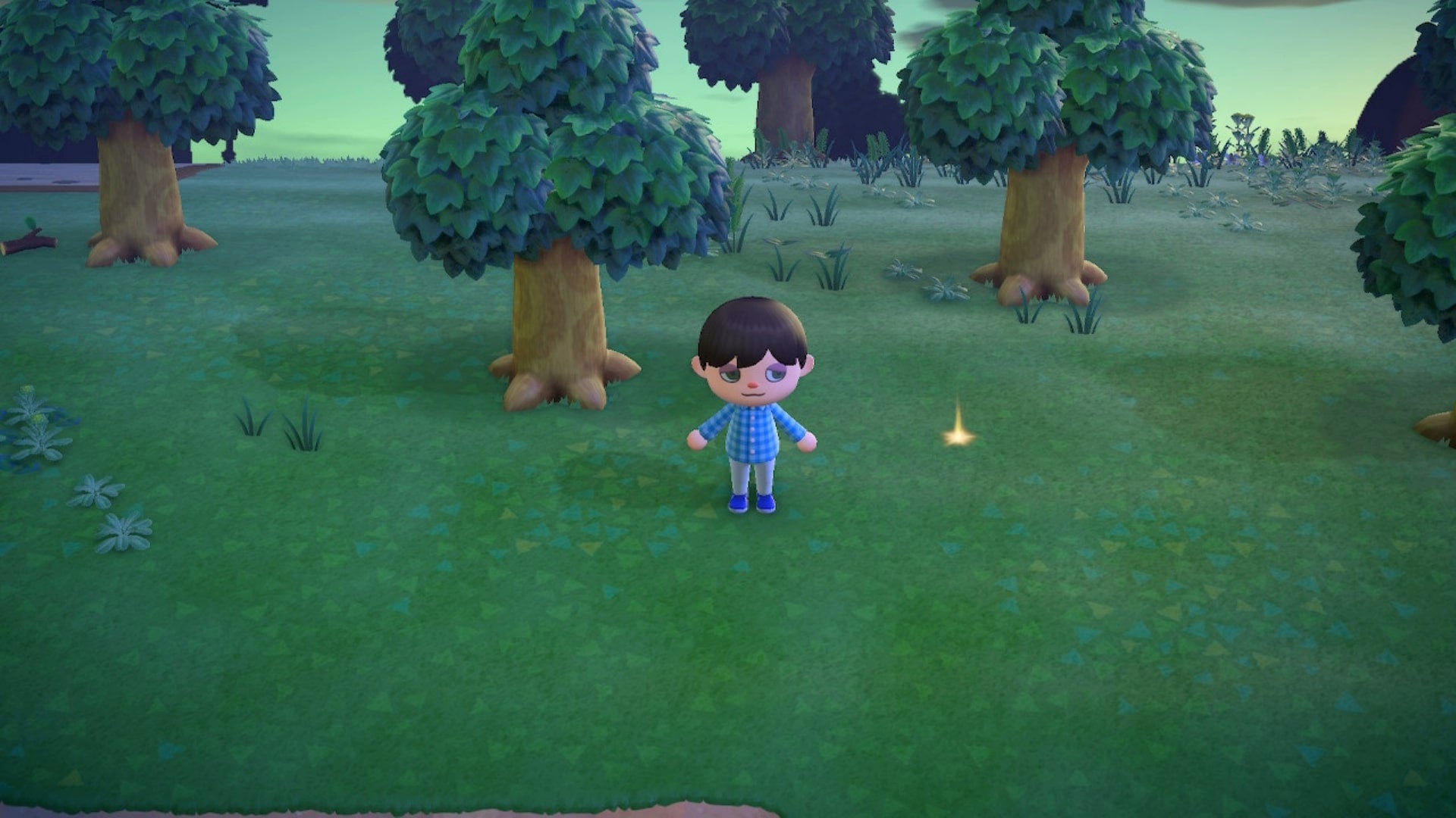 Animal Crossing New Horizons: What Are the Glowing Spots on the Ground ...