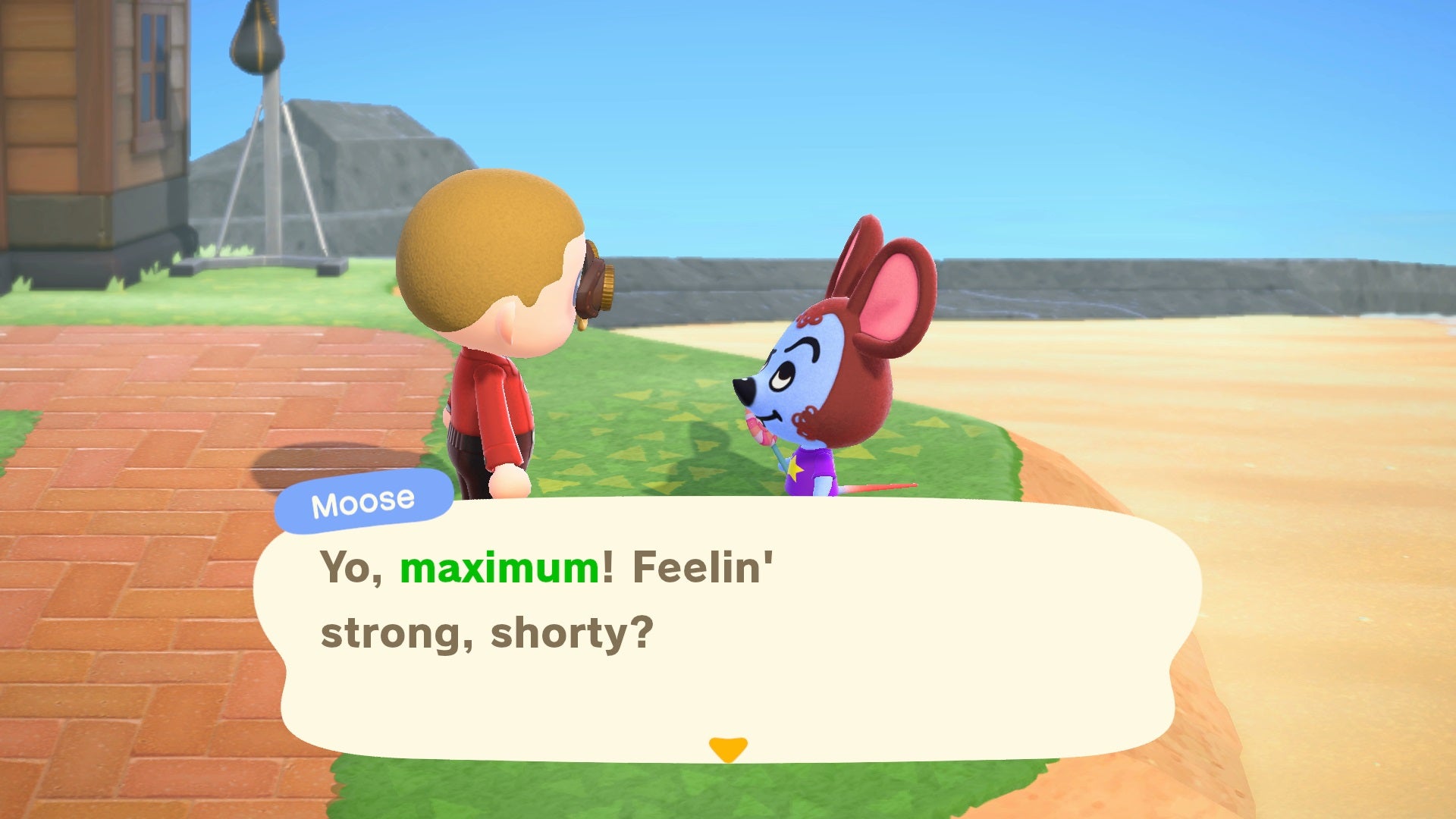 Animal Crossing New Horizons: How to Change Nicknames | VG247