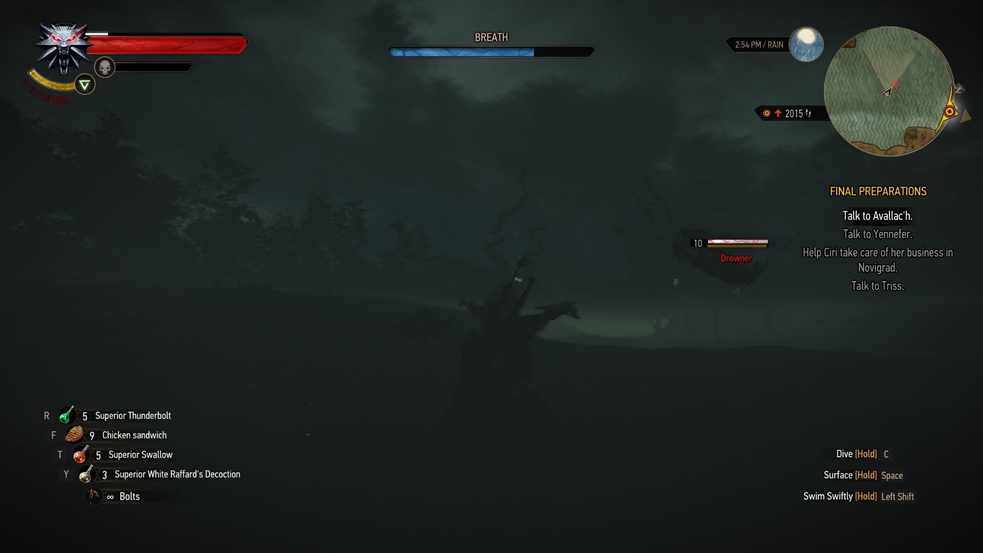 Witcher 3: How to Equip and Use the Crossbow | VG247