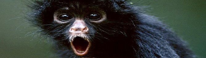 Thursday Shorts: 1000 Tiny Claws, All 4 One Gemini Wars, LucasArts ...