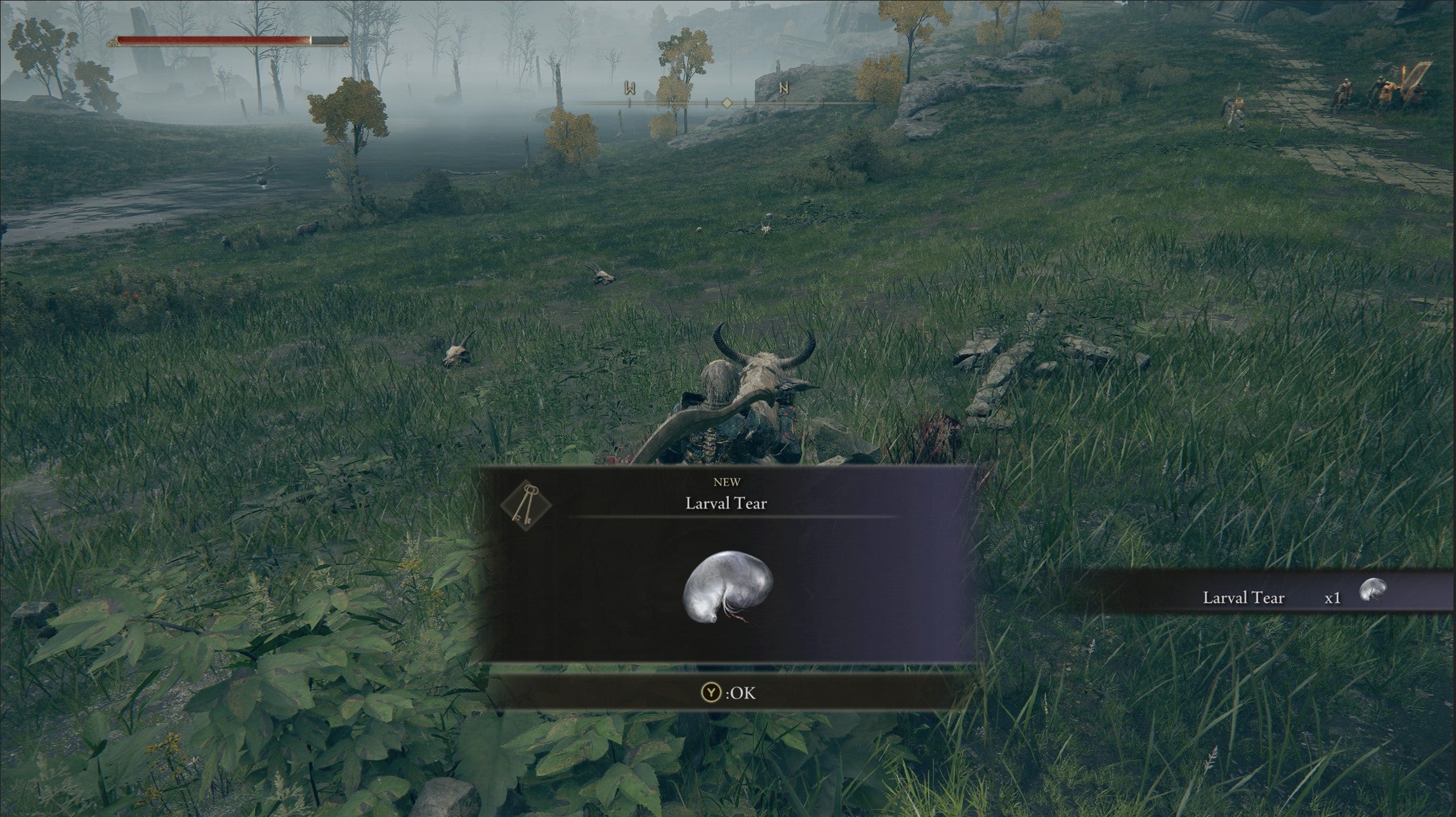 How to respec and reset stats in Elden Ring: Where do you find Larval ...