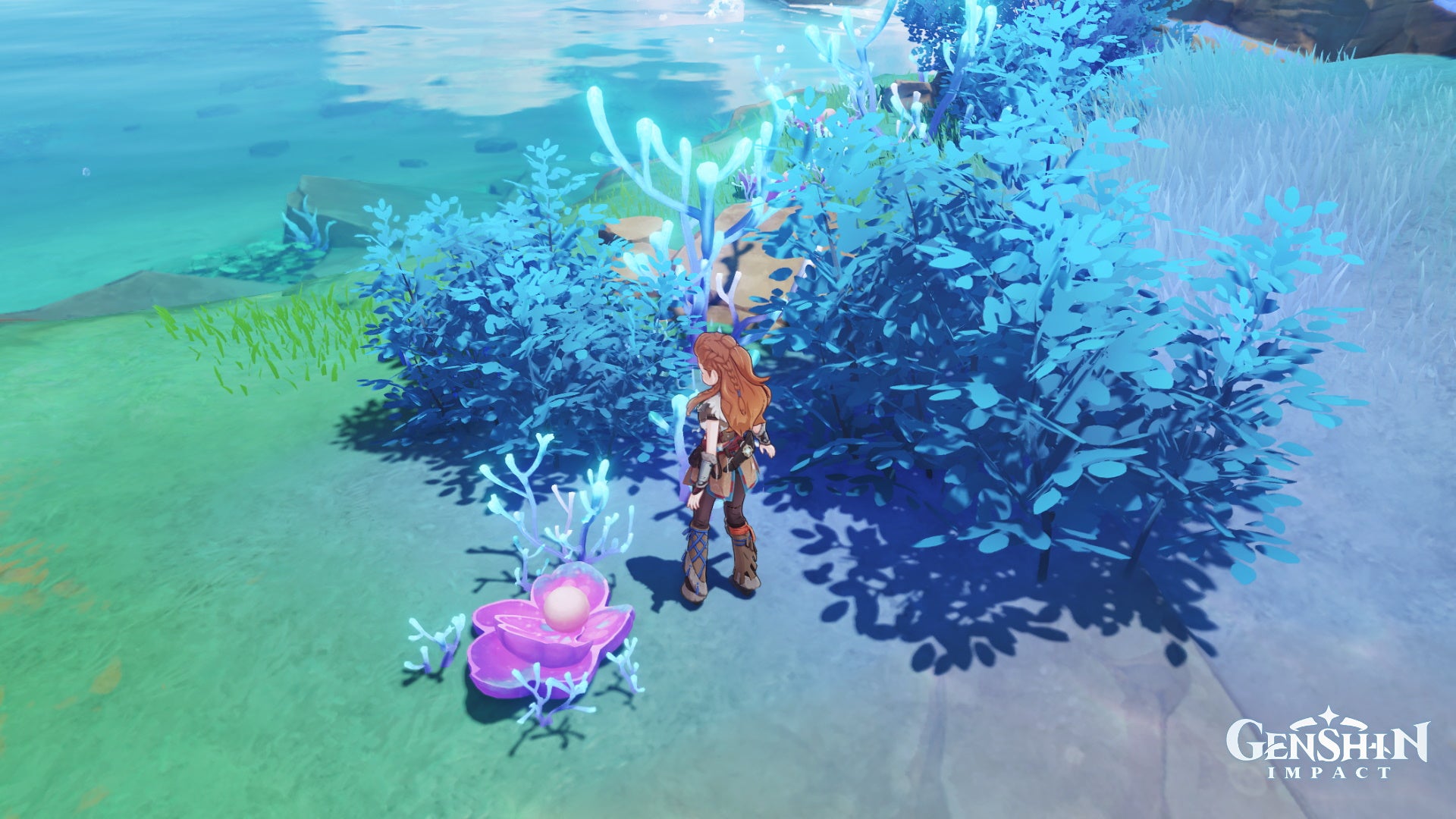 Genshin Impact Sango Pearl locations and best Sango Pearl farm route ...