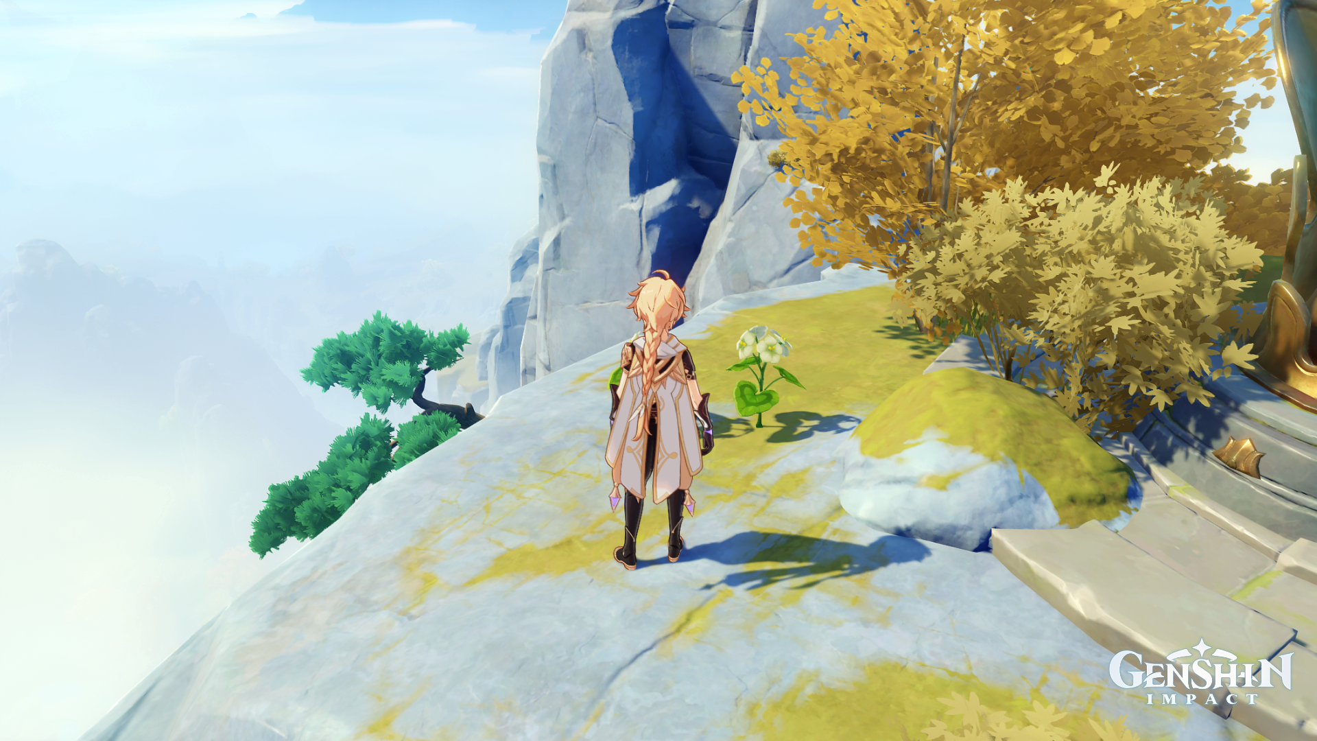 Genshin Impact Qingxin Flower locations and best Qingxin Flower farm ...