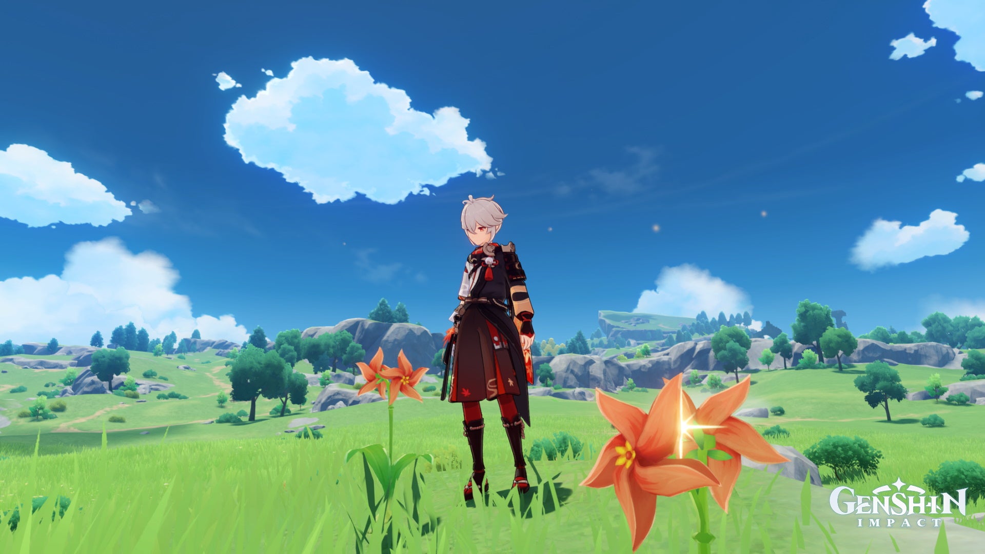 Genshin Impact Windwheel Aster locations and uses | VG247