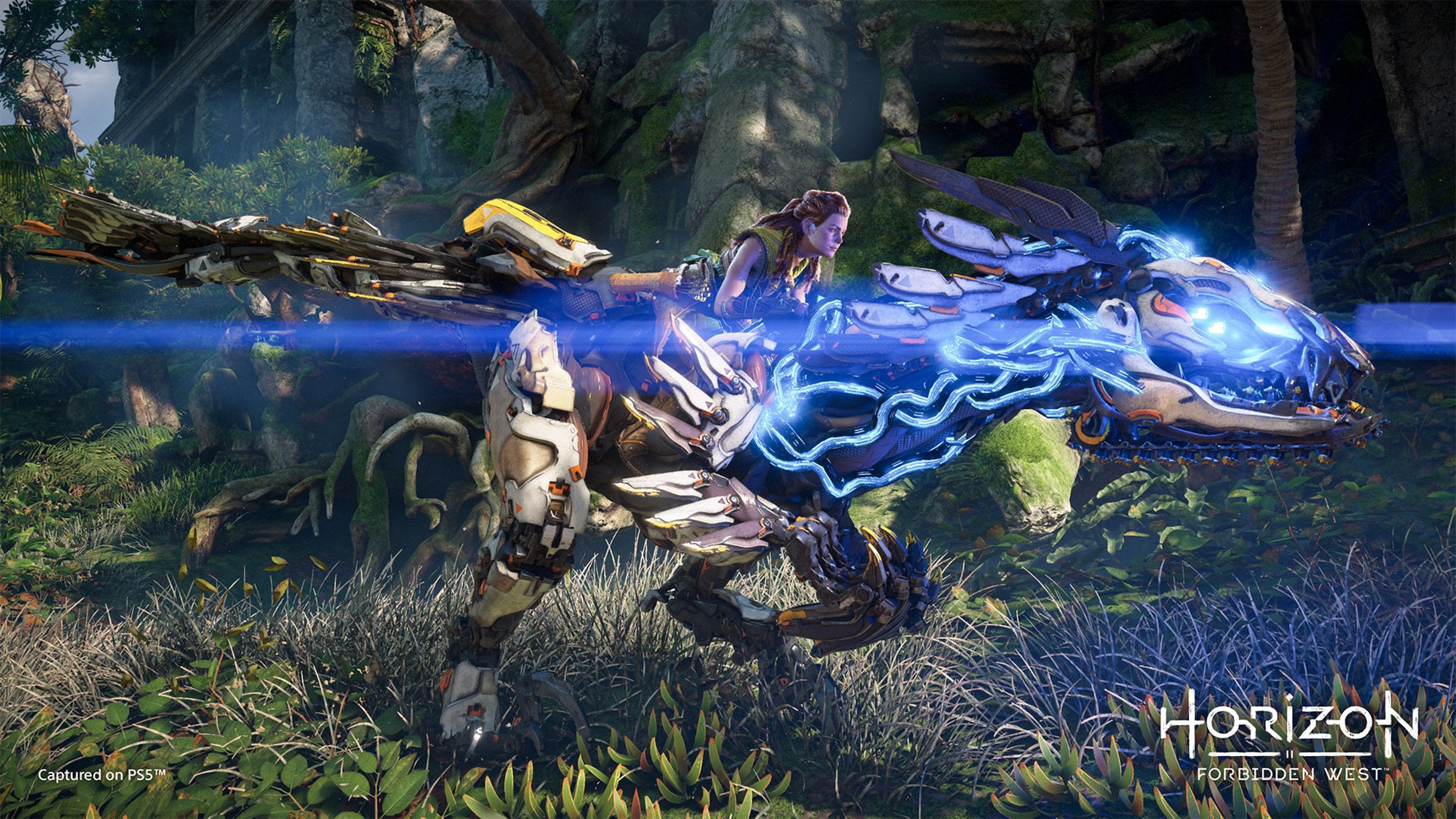 What items are safe to sell in Horizon Forbidden West? | VG247
