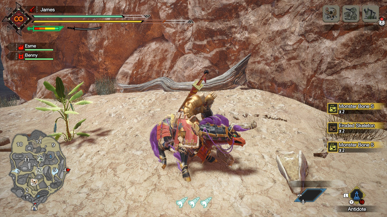 Monster Hunter Rise: Eroded Skeletons | Where to find Bone Piles | VG247