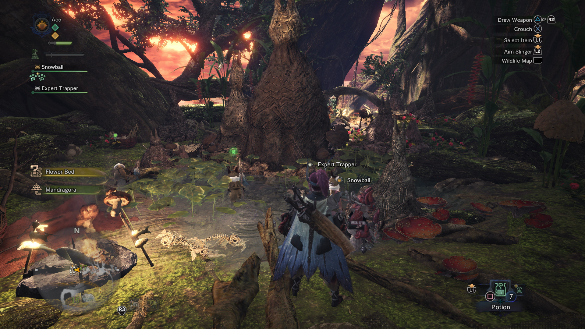 Monster Hunter World Grimalkyne - How to Complete the Ancient Forest ...