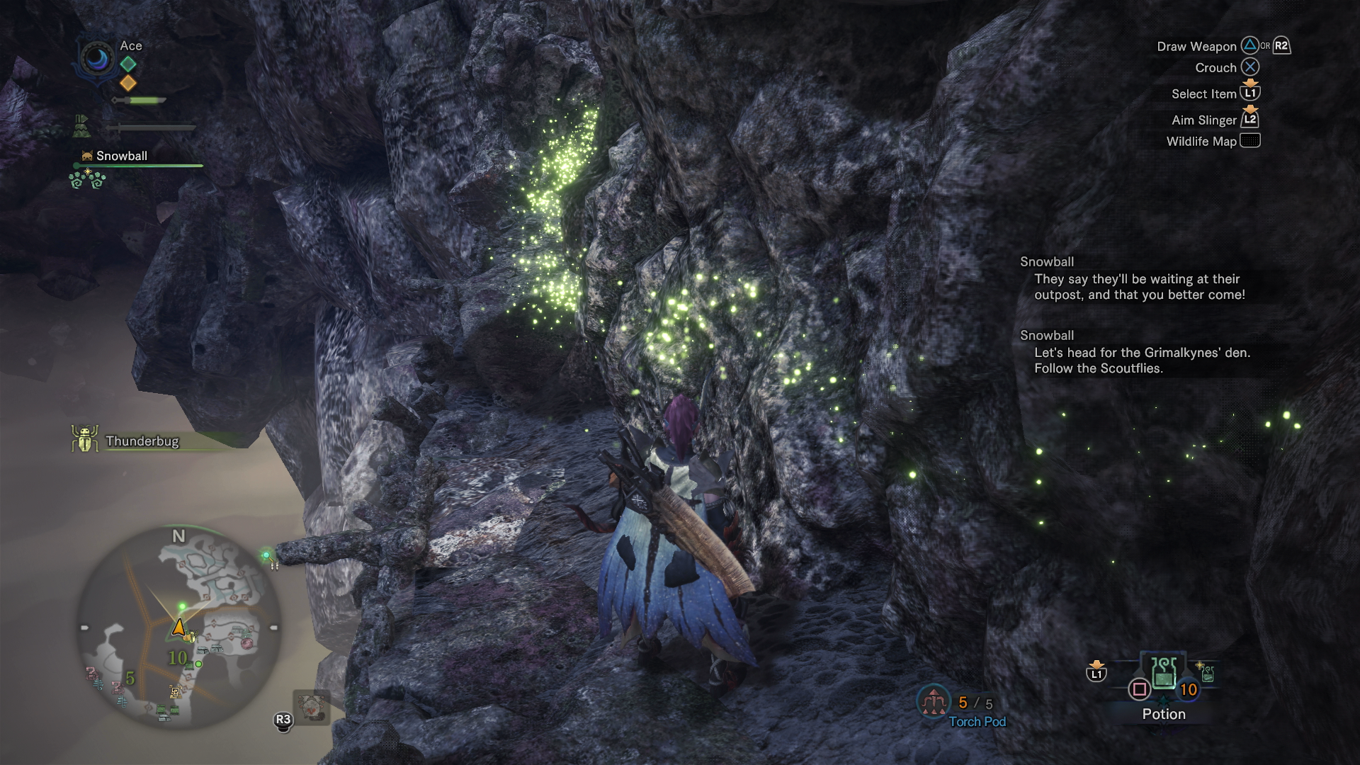 Monster Hunter World Grimalkyne - How to Complete the Coral Highlands ...
