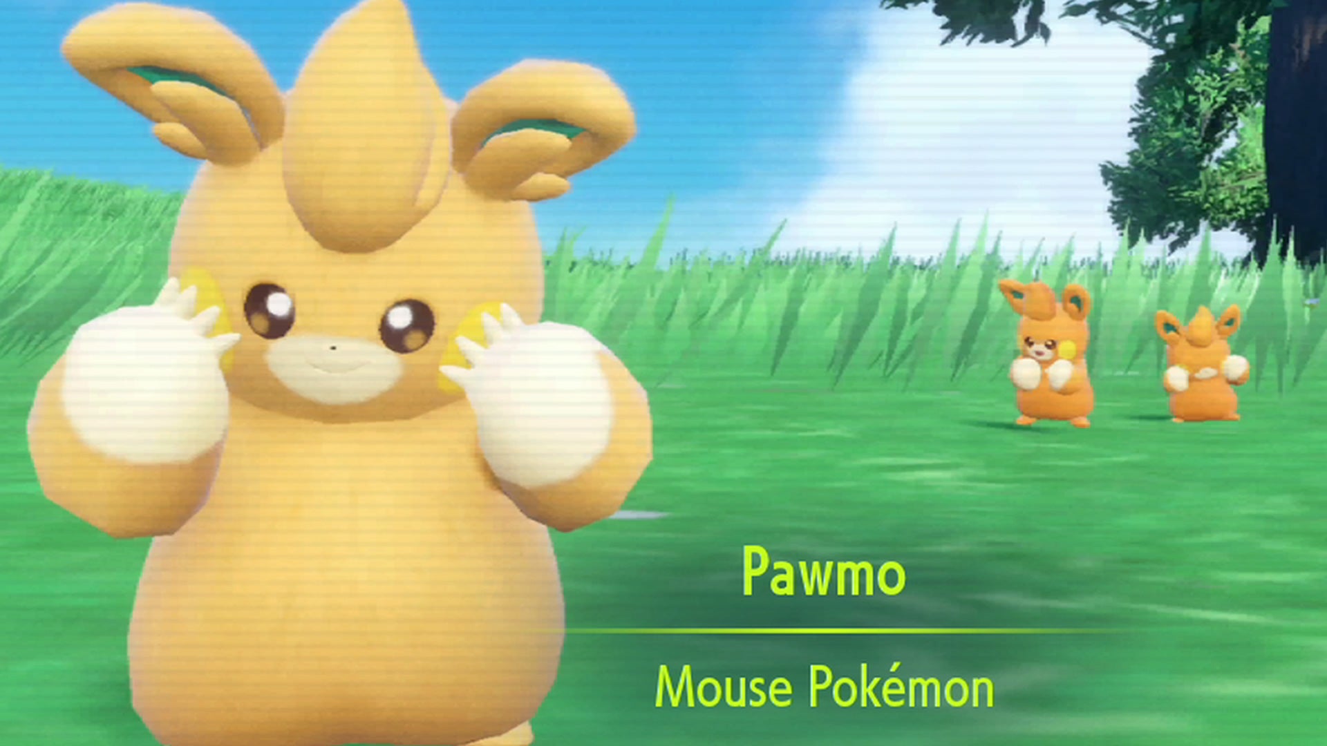 How to evolve Pawmi and Pawmo into Pawmot in Pokemon Scarlet and Violet ...