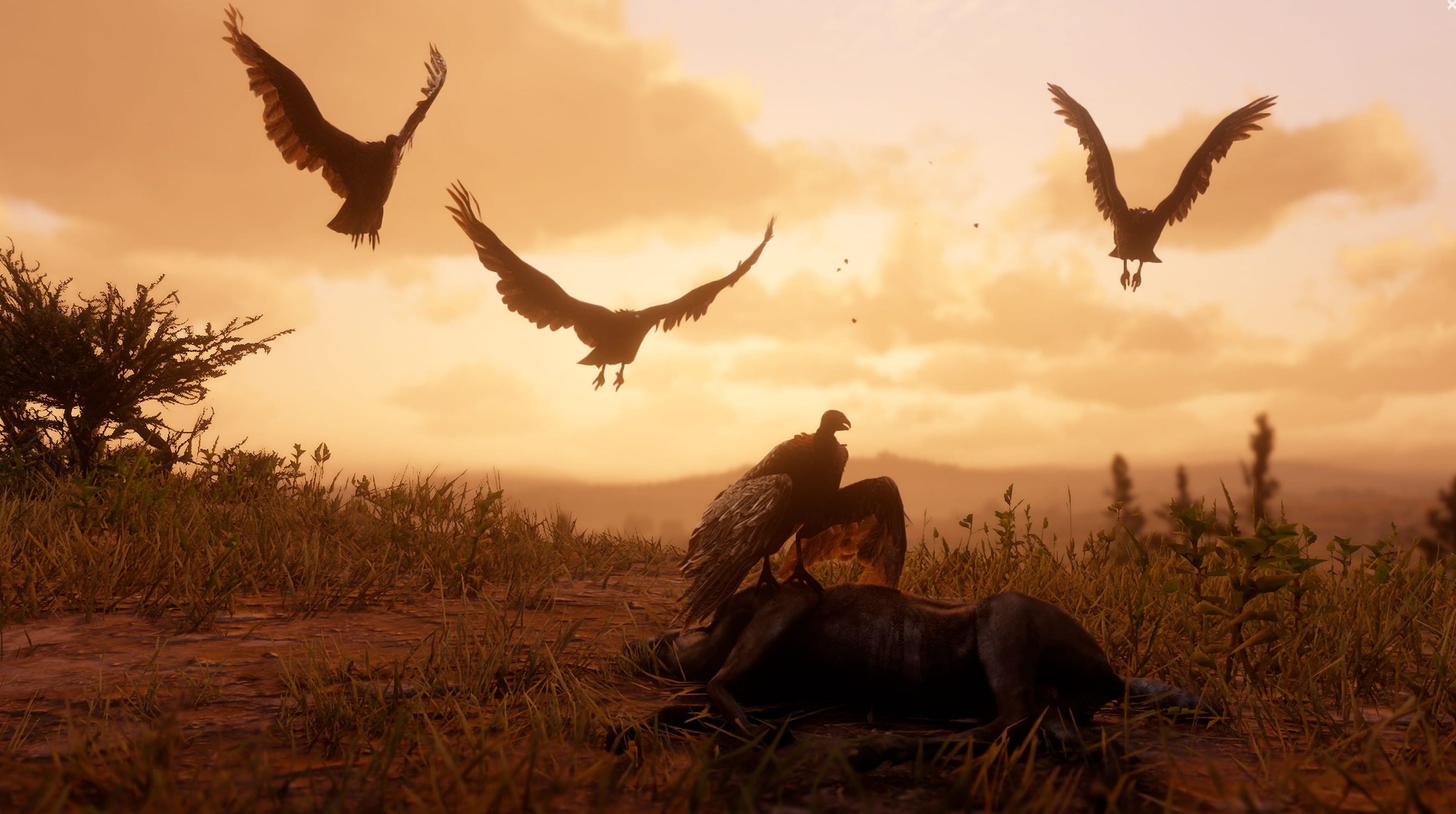 Where is the Red Dead Redemption 2 trapper? Here's how to track them ...