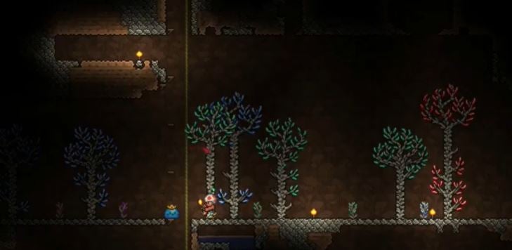 Terraria Gemcorns - How to grow more gems | VG247