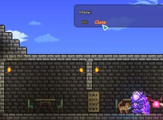 Terraria: How to get a Cat License | VG247